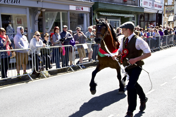 Barley Saturday – Travels With My Aunt