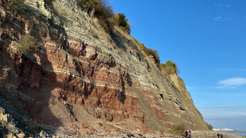 Penarth Fossil Hunting – Travels With My Aunt